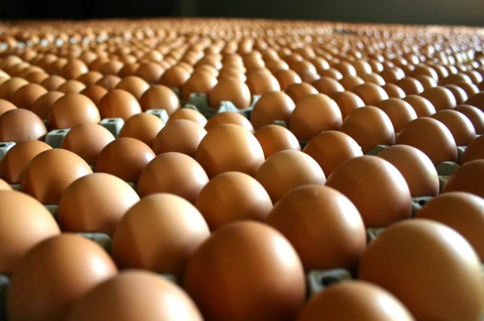 Balticovo : Treasures of Latvia - the best exporting brands from Latvia